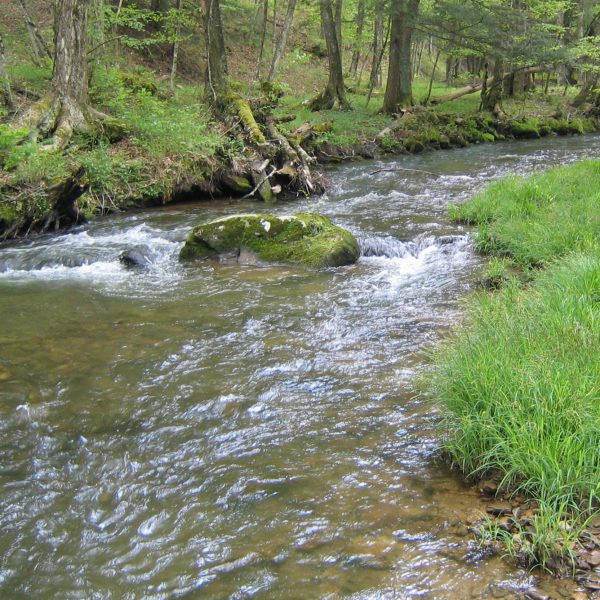 EPA Intends To Revise Definition Of Waters Of The United States Civil EPA Intends To Revise Definition Of Waters Of The United States Civil