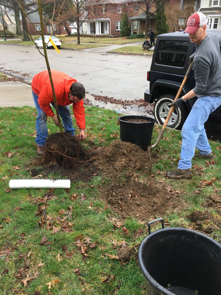 Indianapolis and Pittsburgh Plant Trees | Civil & Environmental ...
