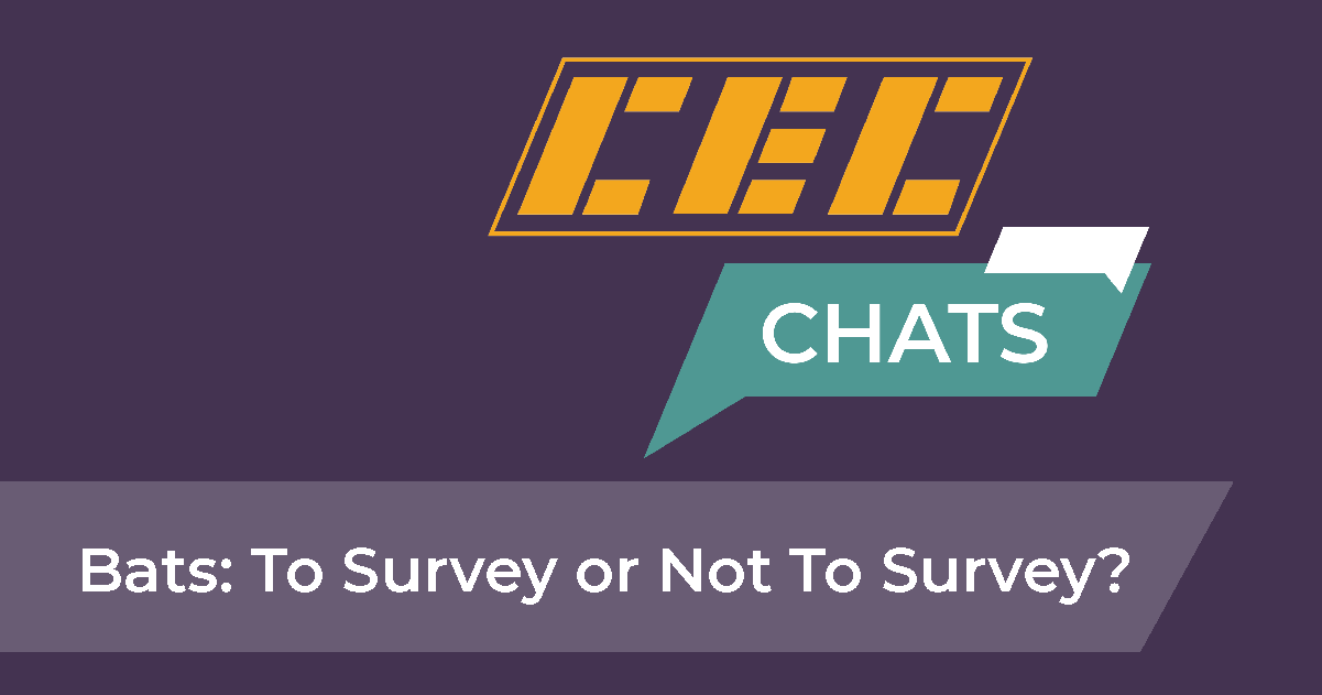 Bats: To Survey or Not To Survey? | Civil & Environmental Consultants, Inc.