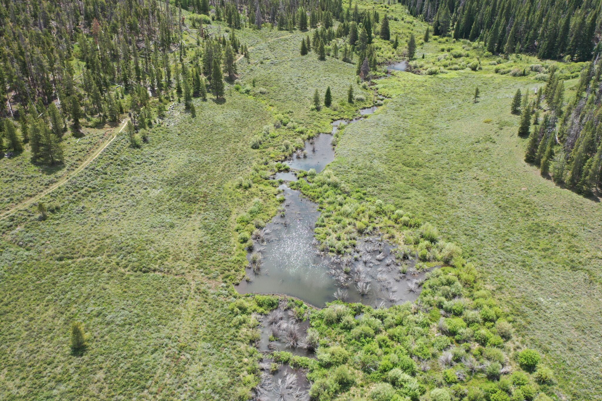 CEC Leverages Low-Tech Process-Based Restoration Strategies for ...