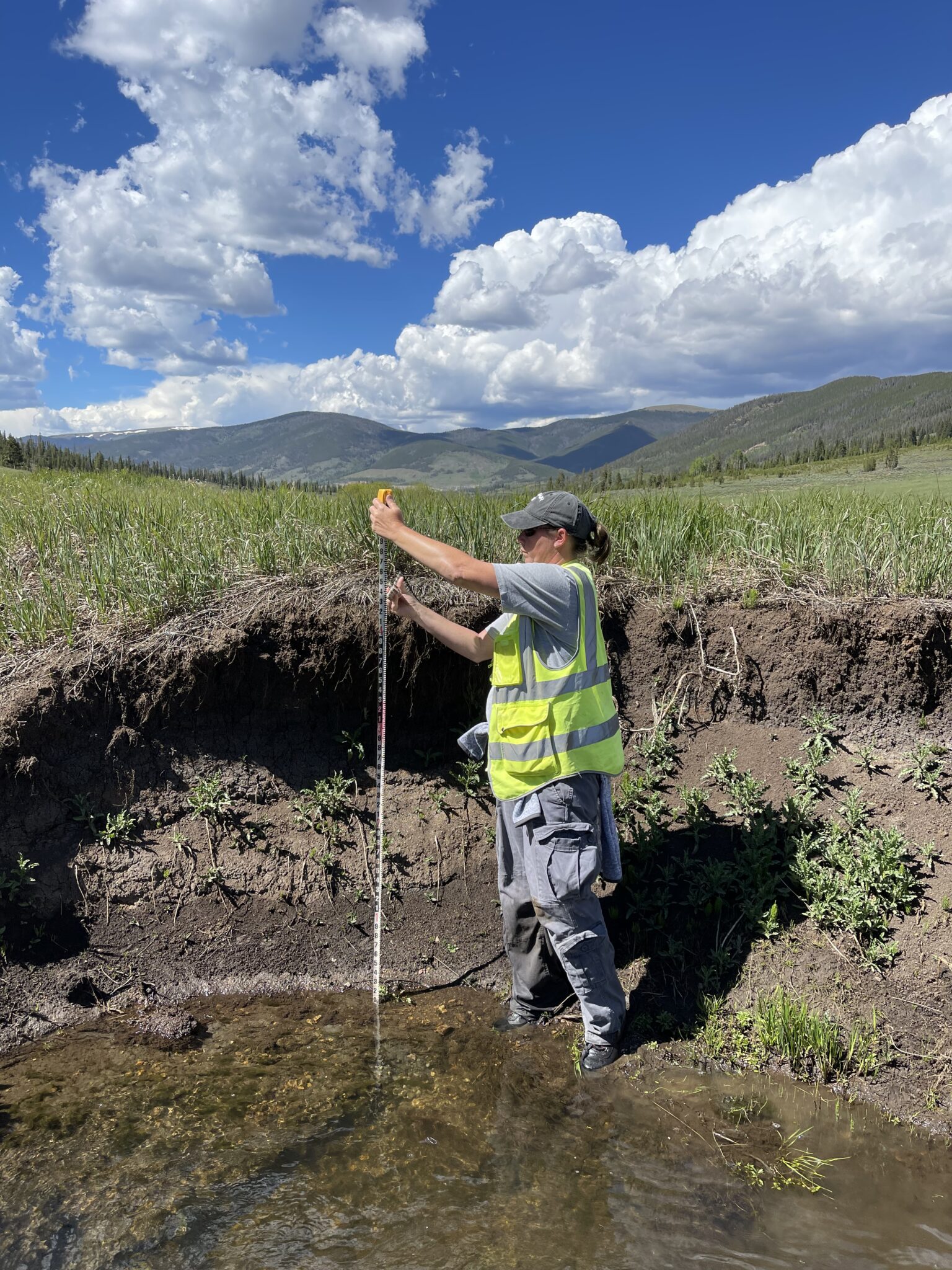 CEC Leverages Low-Tech Process-Based Restoration Strategies for ...