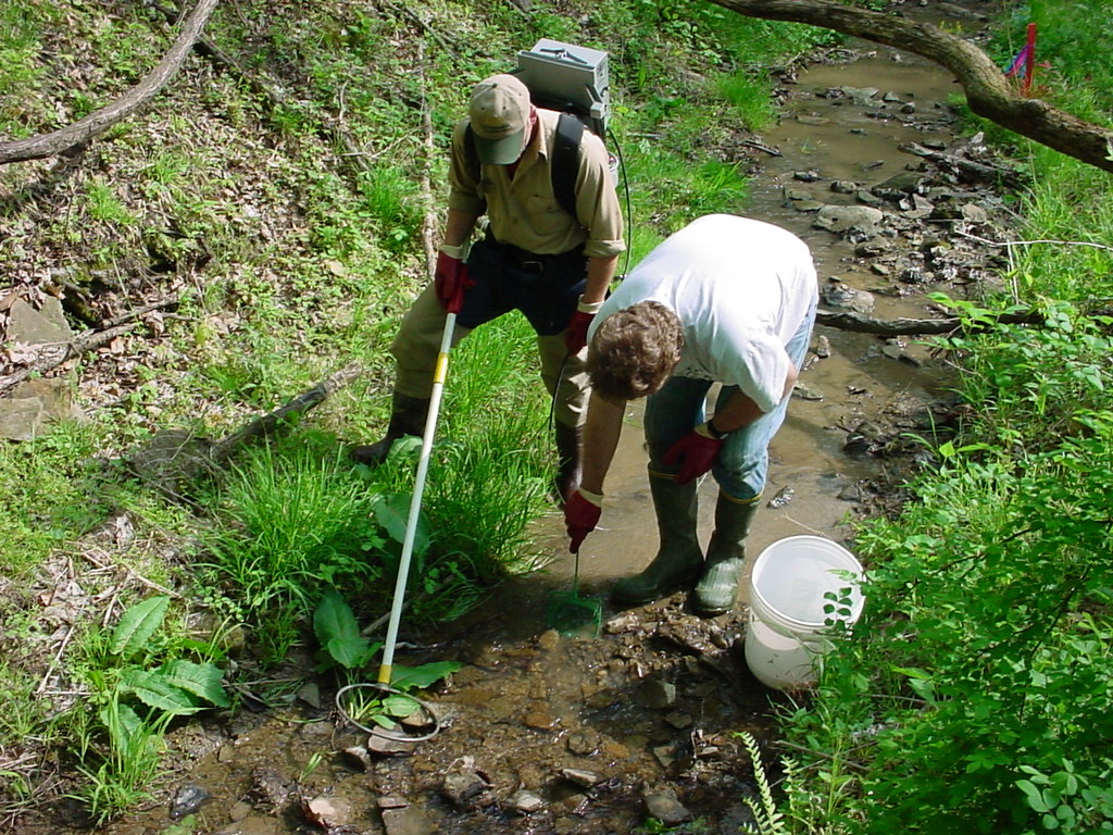 Biological Monitoring for the Mining Industry | Civil & Environmental ...